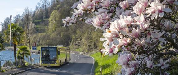 STI Bus AG – Ihr Buspartner in der Region Thun